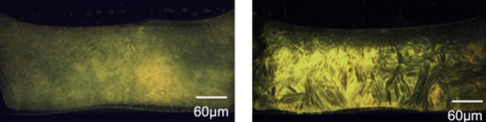 Another @Kildsig CPPR Project Yields Results Available from J Pharm Sci free until July 9, 2020 ...