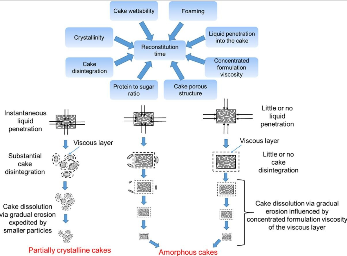 CPPR Project Identifies Key Factors Governing the Reconstitution of ...