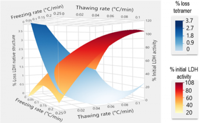 Publication of CPPR Project on Large-Scale Freeze-Thawing of Proteins is Now Available | Kildsig ...